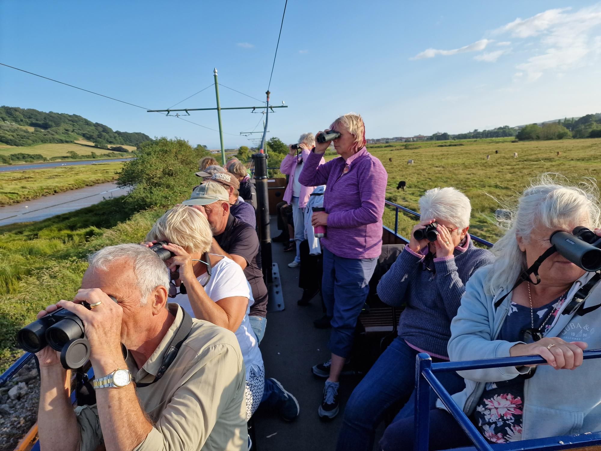 Birdwatching Report | July 23rd 2023 | Seaton Tramway