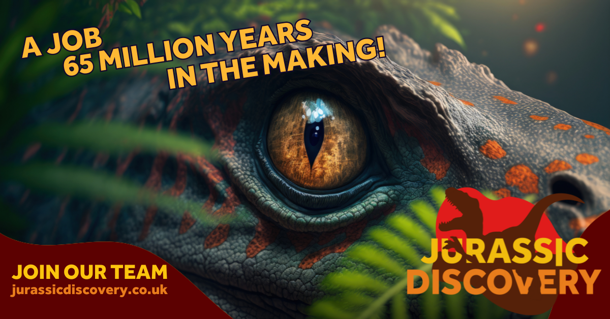 Work at the new Jurassic Discovery Attraction in East Devon - Seaton ...